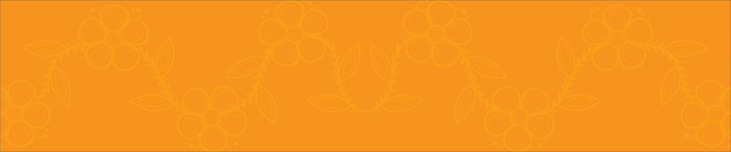 UNION OF ONTARIO INDIANS – Anishinabek Nation Map and Information ...